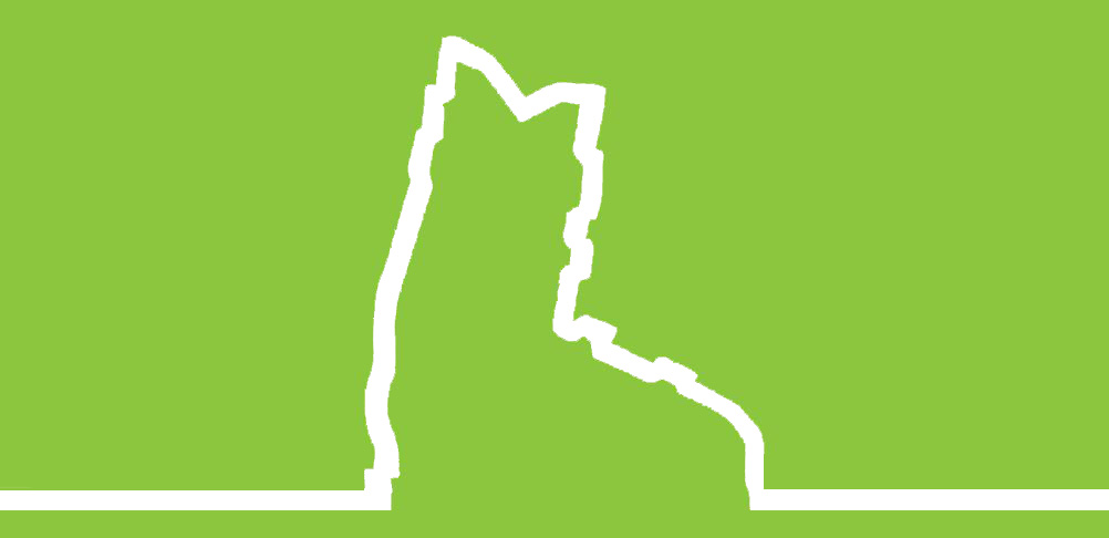 Our Bootfitting - Pulse Boot Lab & Ski Co.